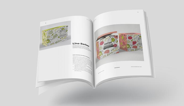 10 Free InDesign Portfolio Templates